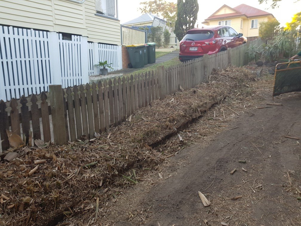 Can you stump grind bamboo roots? – Bamboo Removal Brisbane